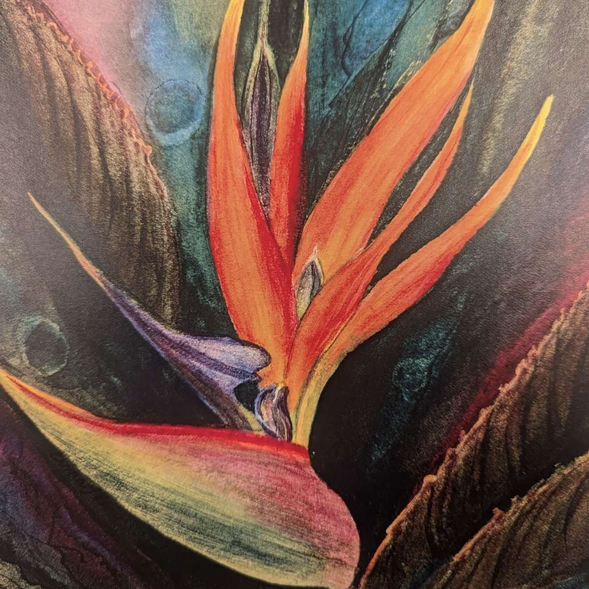 Classes - Tri Arts Project