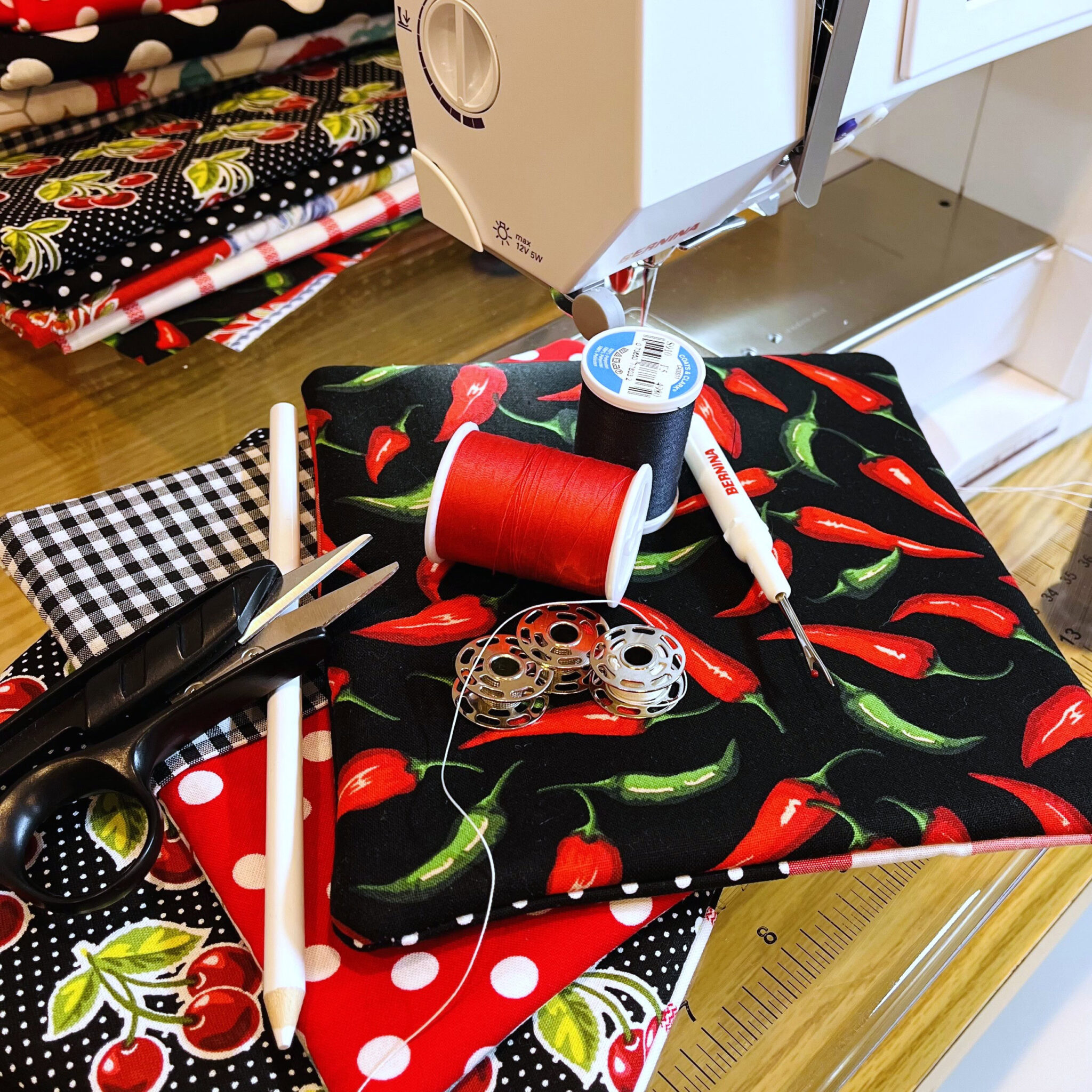 Sewing Introduction - Beginner - January - Tri Arts Project